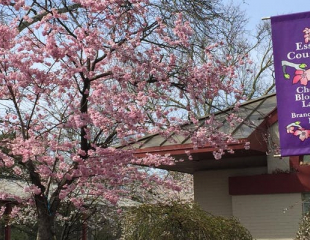 Branch Brook Park | Parks | Essex County Parks